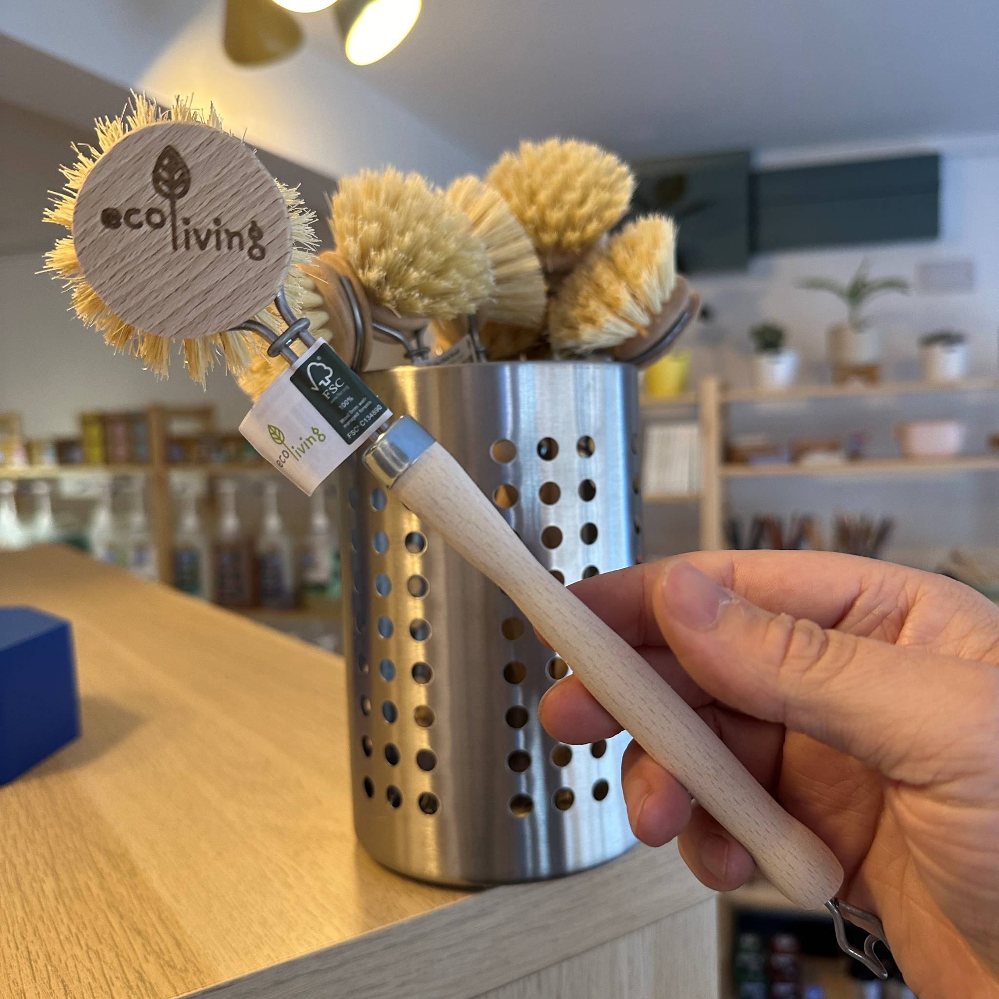 Wooden Dish Brushes – Tare & Tide