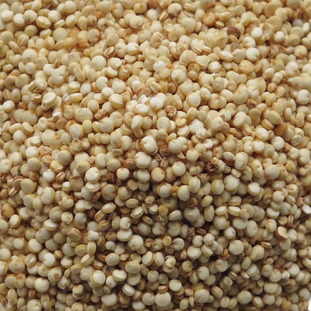 Organic Giant White Couscous – Tare & Tide